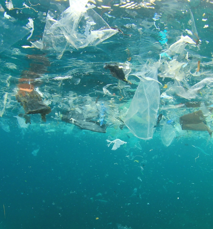 Innovative Solutions - MM